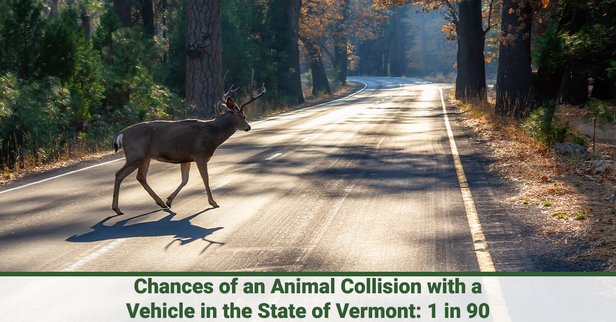 6 Tips to Protect Your Business from Autumn Insurance Claims