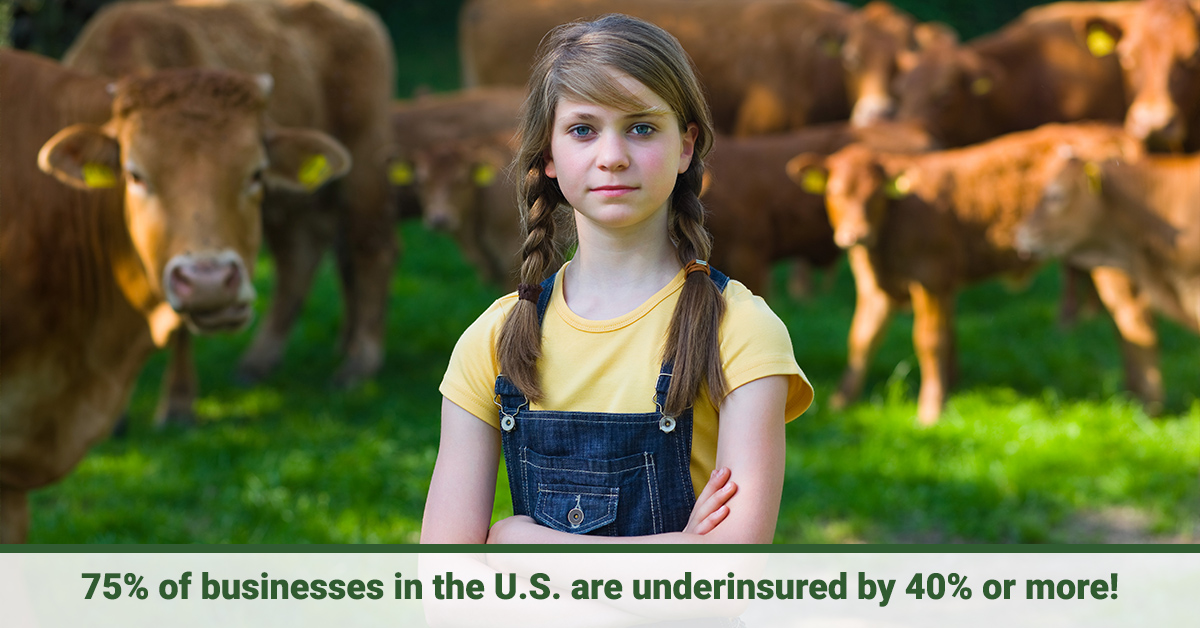 Farm Insurance 101: What You Need to Know