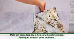 Guide to Understanding Water Damage Categories and Classes